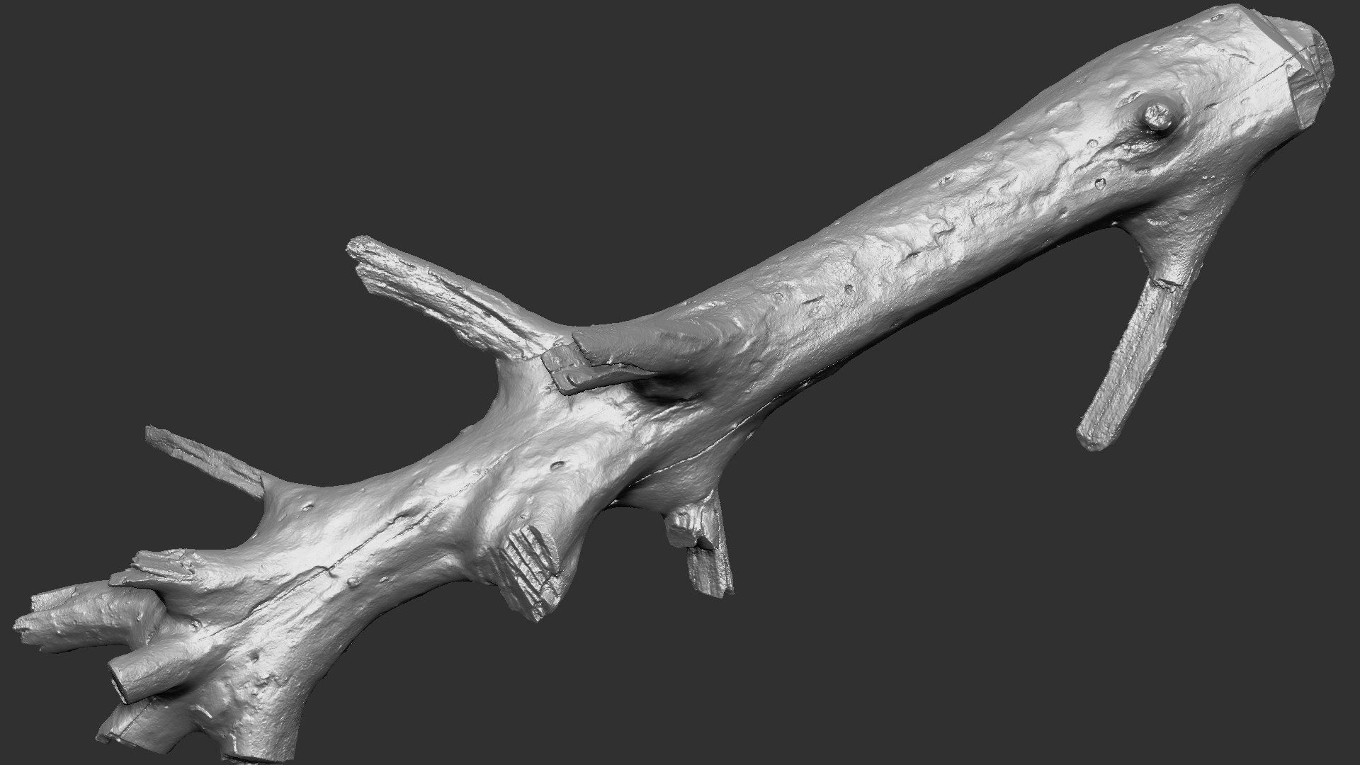 3d scan of tree trunk in highpoly model - TurboSquid 2149407