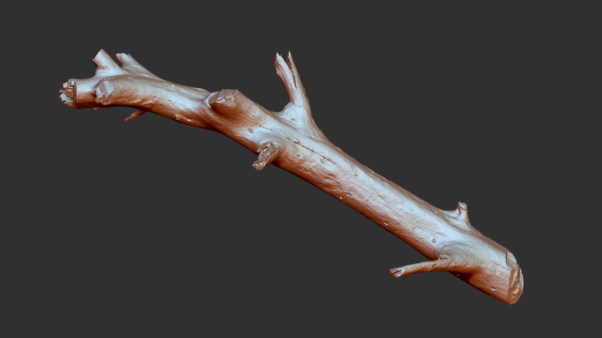3d scan of tree trunk in highpoly model - TurboSquid 2149407