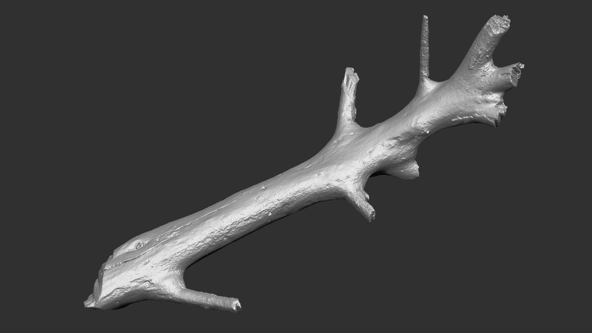 3d scan of tree trunk in highpoly model - TurboSquid 2149407