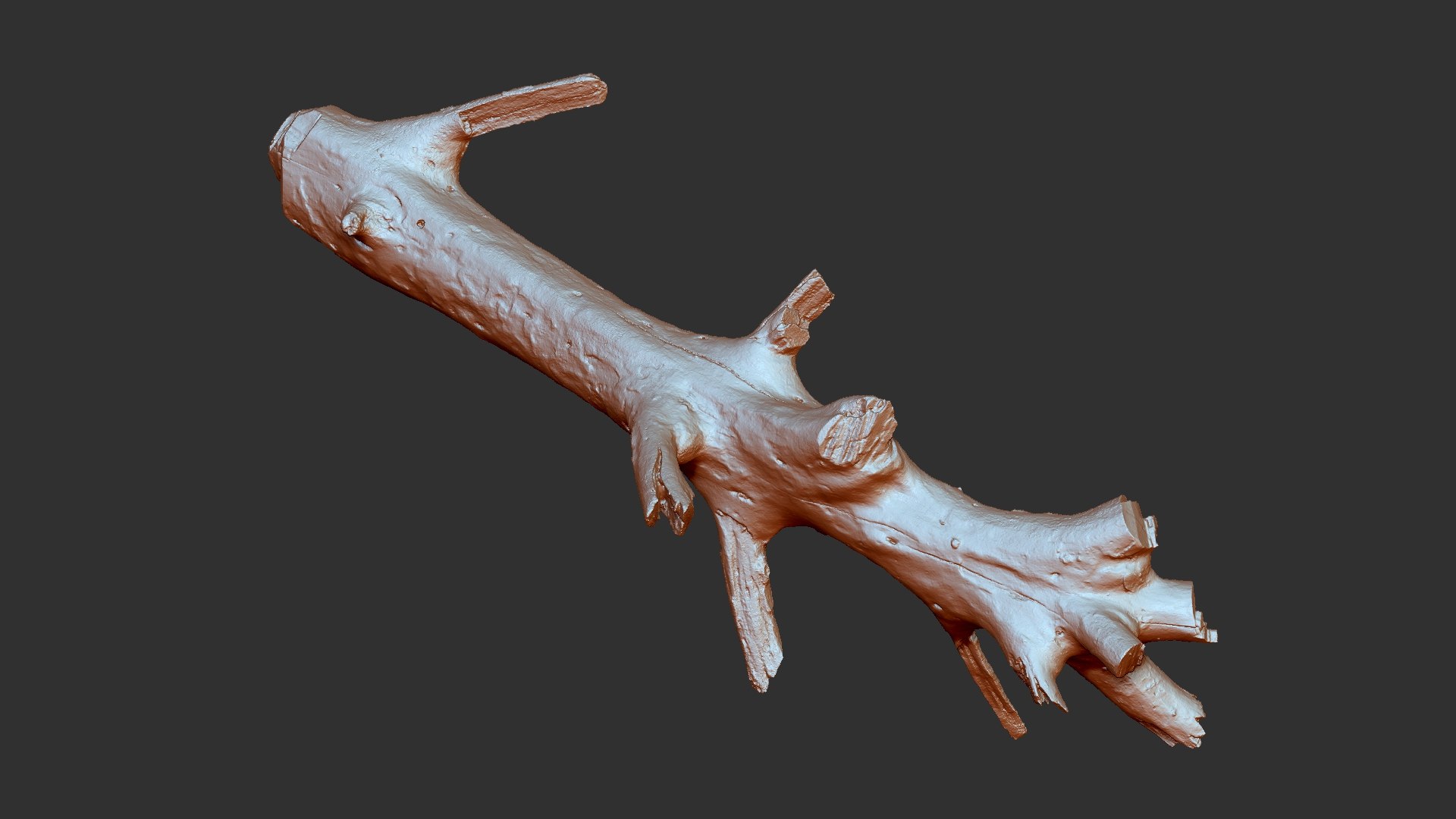 Scan Of Tree Trunk In Highpoly Model - TurboSquid 2149407