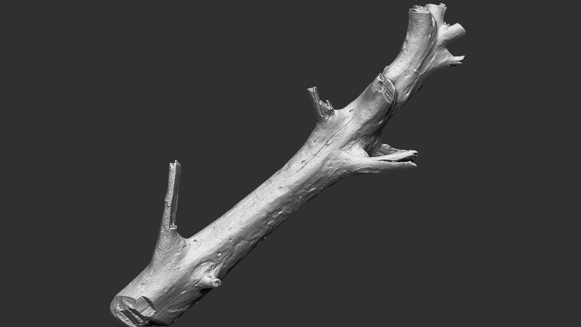 Scan Of Tree Trunk In Highpoly Model - TurboSquid 2149407