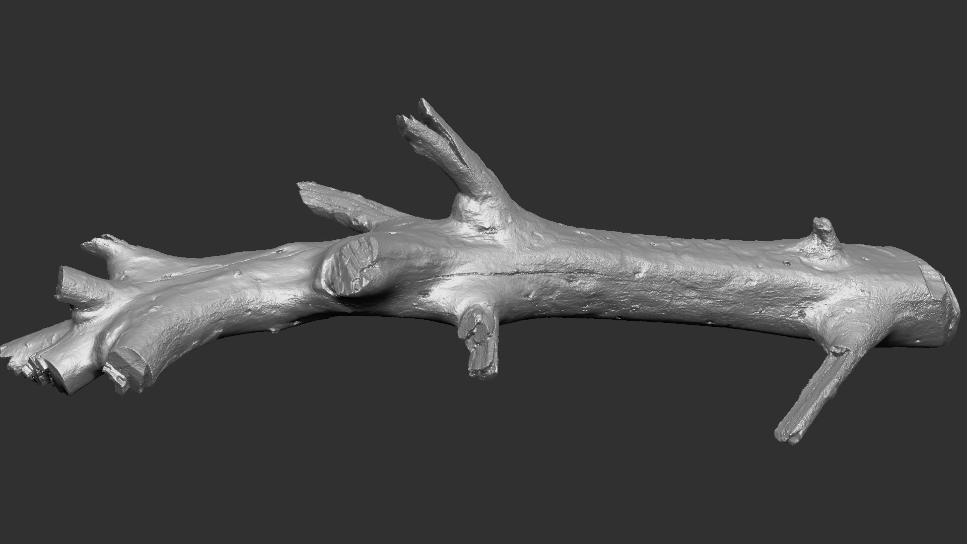 3d scan of tree trunk in highpoly model - TurboSquid 2149407