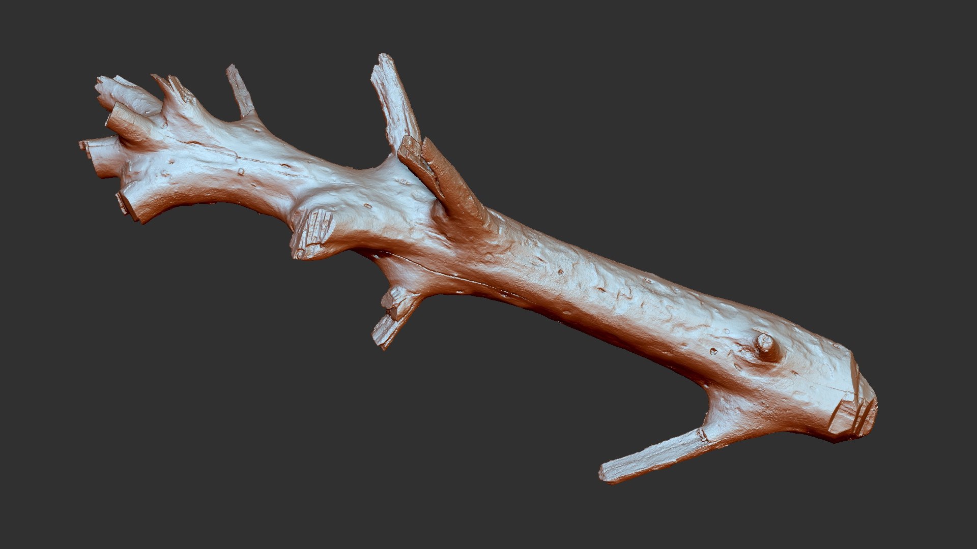3d scan of tree trunk in highpoly model - TurboSquid 2149407