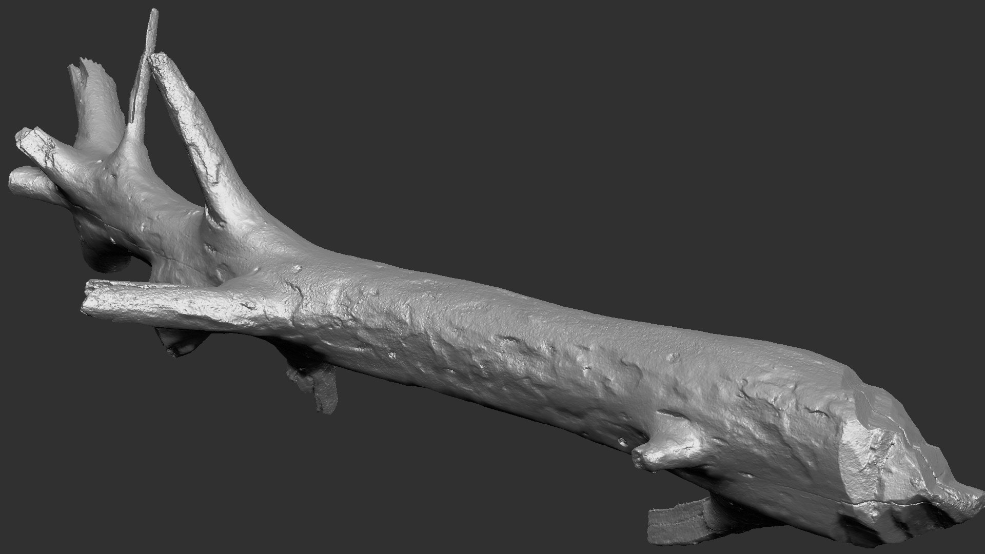 3d scan of tree trunk in highpoly model - TurboSquid 2149407