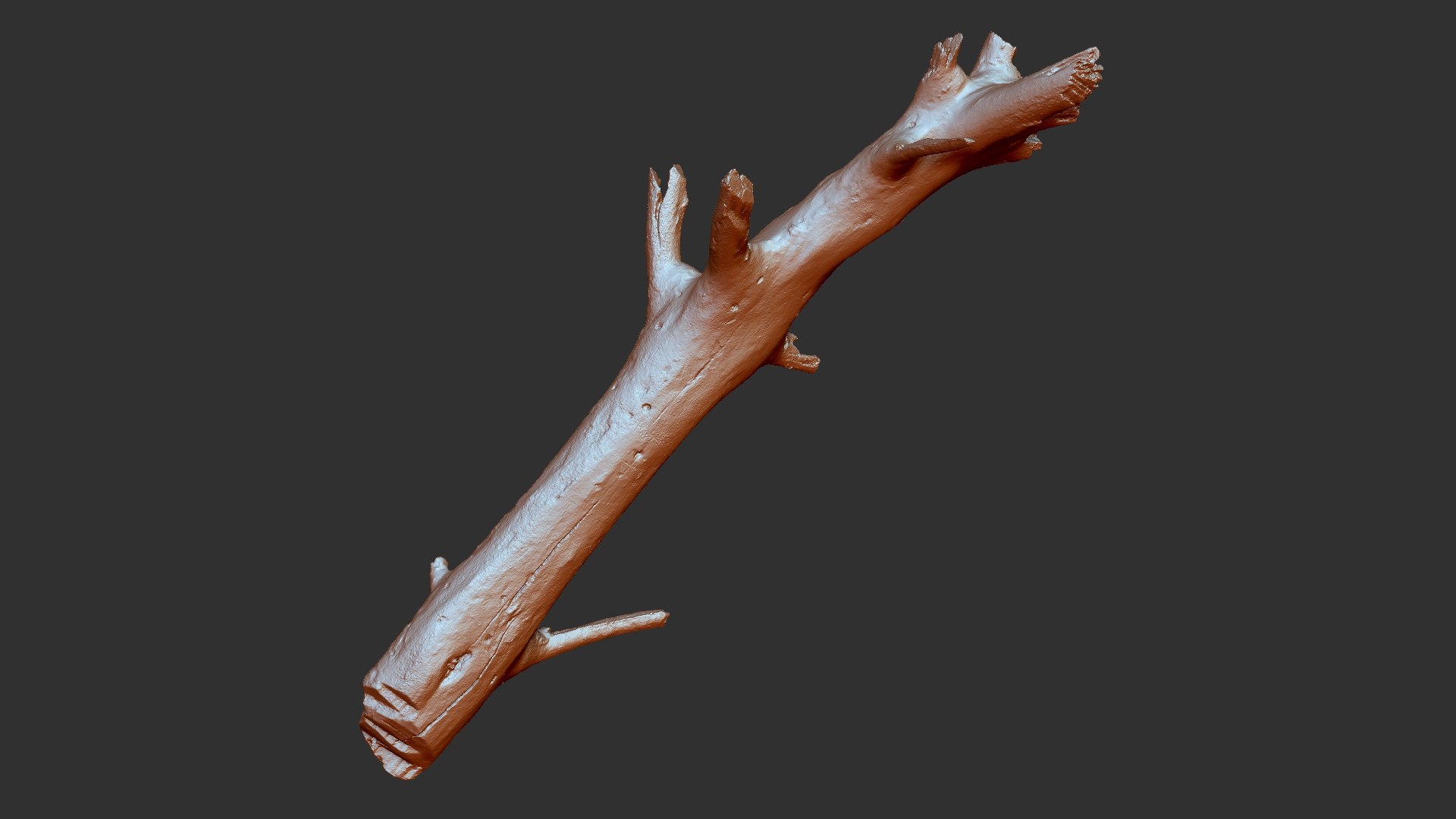 3d scan of tree trunk in highpoly model - TurboSquid 2149407