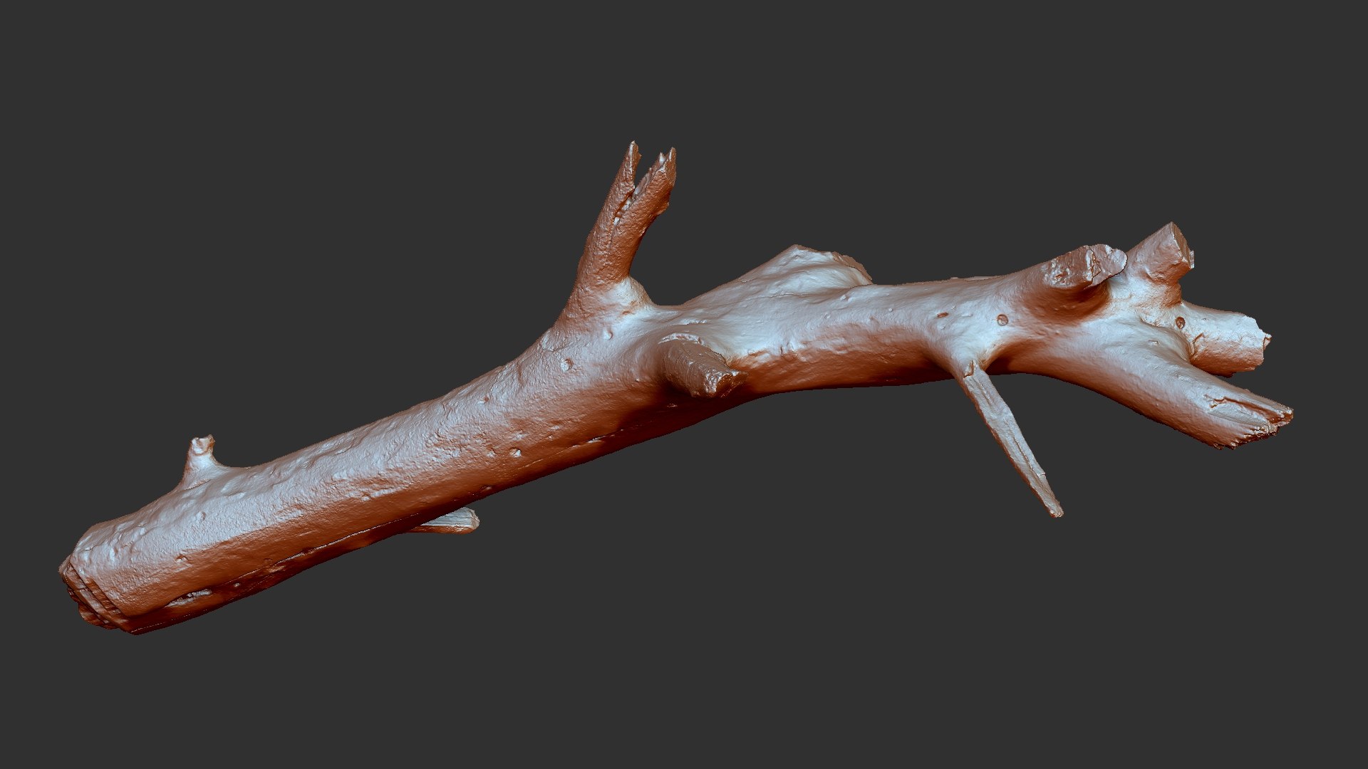 3d scan of tree trunk in highpoly model - TurboSquid 2149407