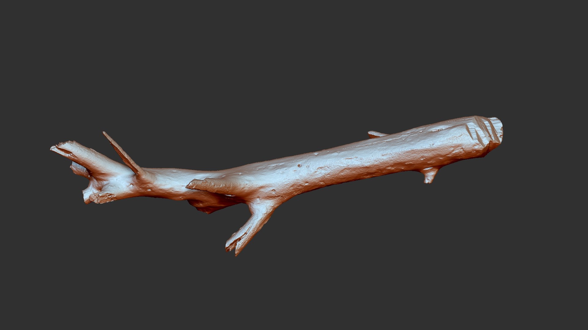 3d scan of tree trunk in highpoly model - TurboSquid 2149407