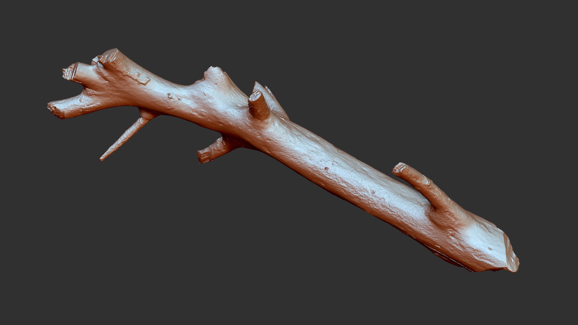 3d scan of tree trunk in highpoly model - TurboSquid 2149407