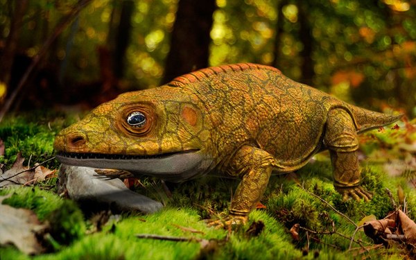 modelo 3d Cacops aspidephorus - TurboSquid 1343736