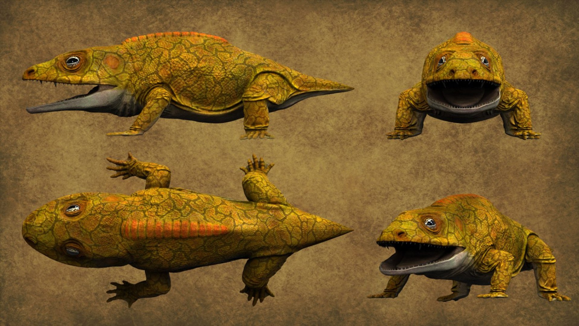 Cacops Aspidephorus 3D - TurboSquid 1343736