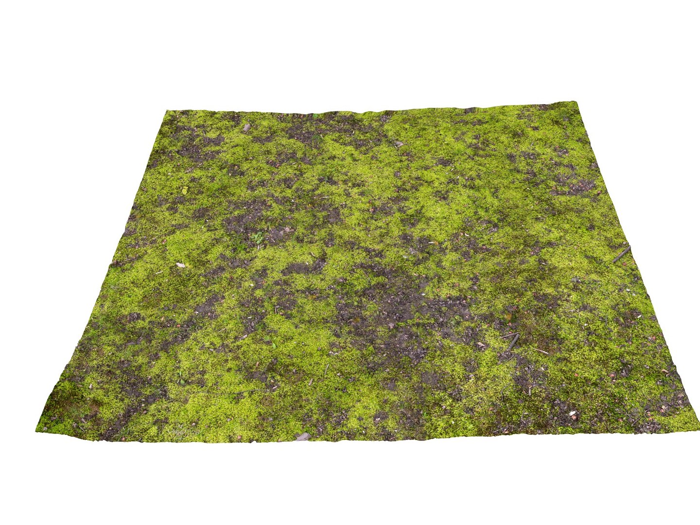 3d Forest Ground 16k Hd Model