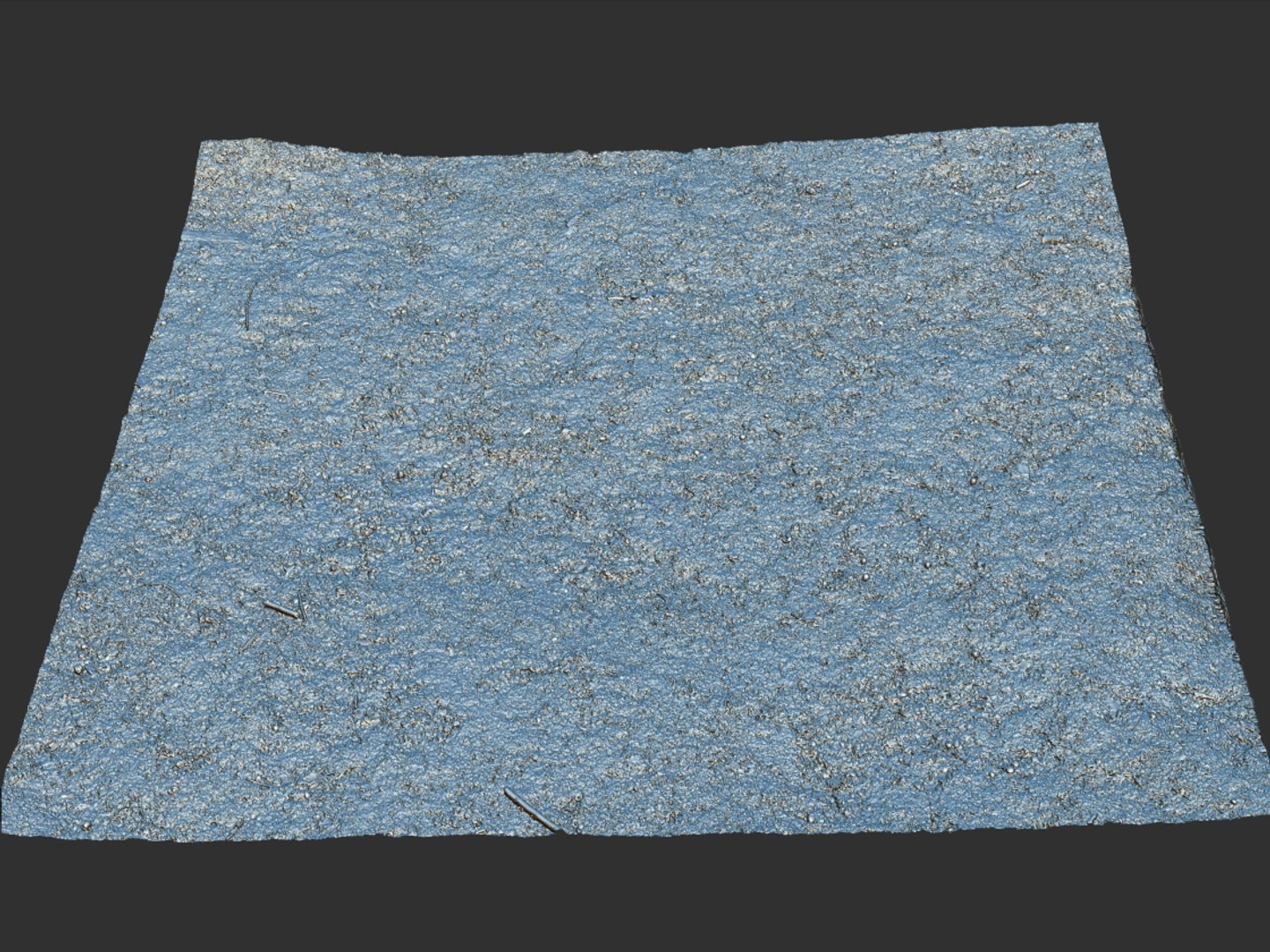 3d Forest Ground 16k Hd Model
