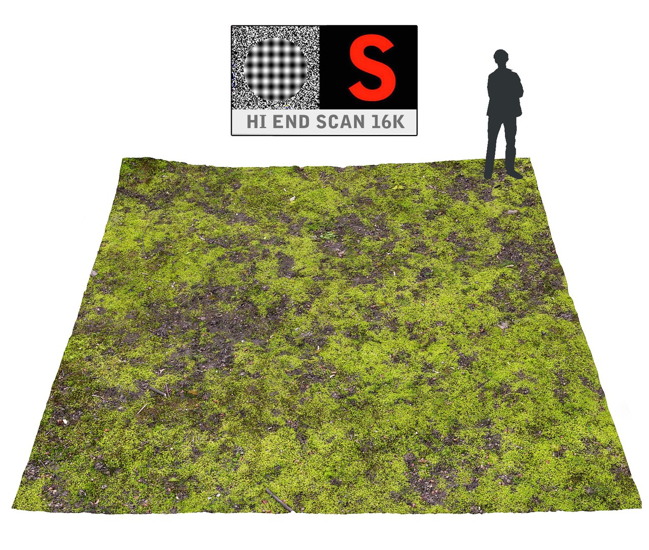 3d Forest Ground 16k Hd Model