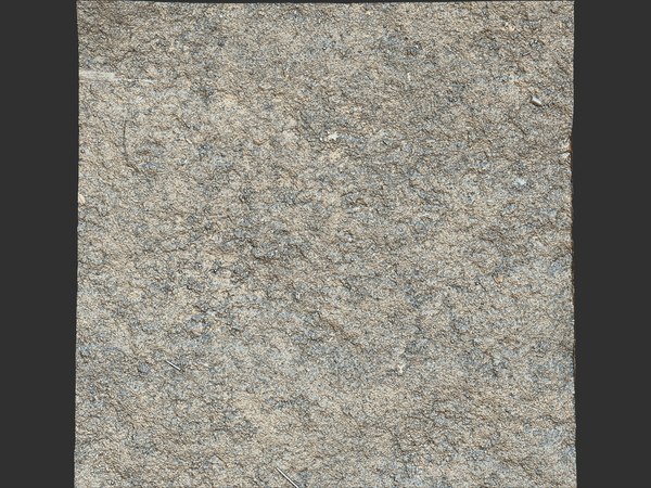 3d forest ground 16k hd model