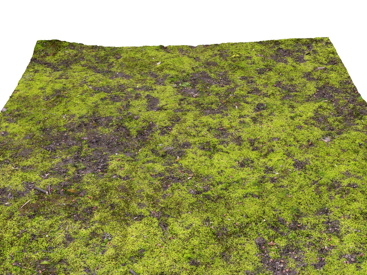 3d Forest Ground 16k Hd Model