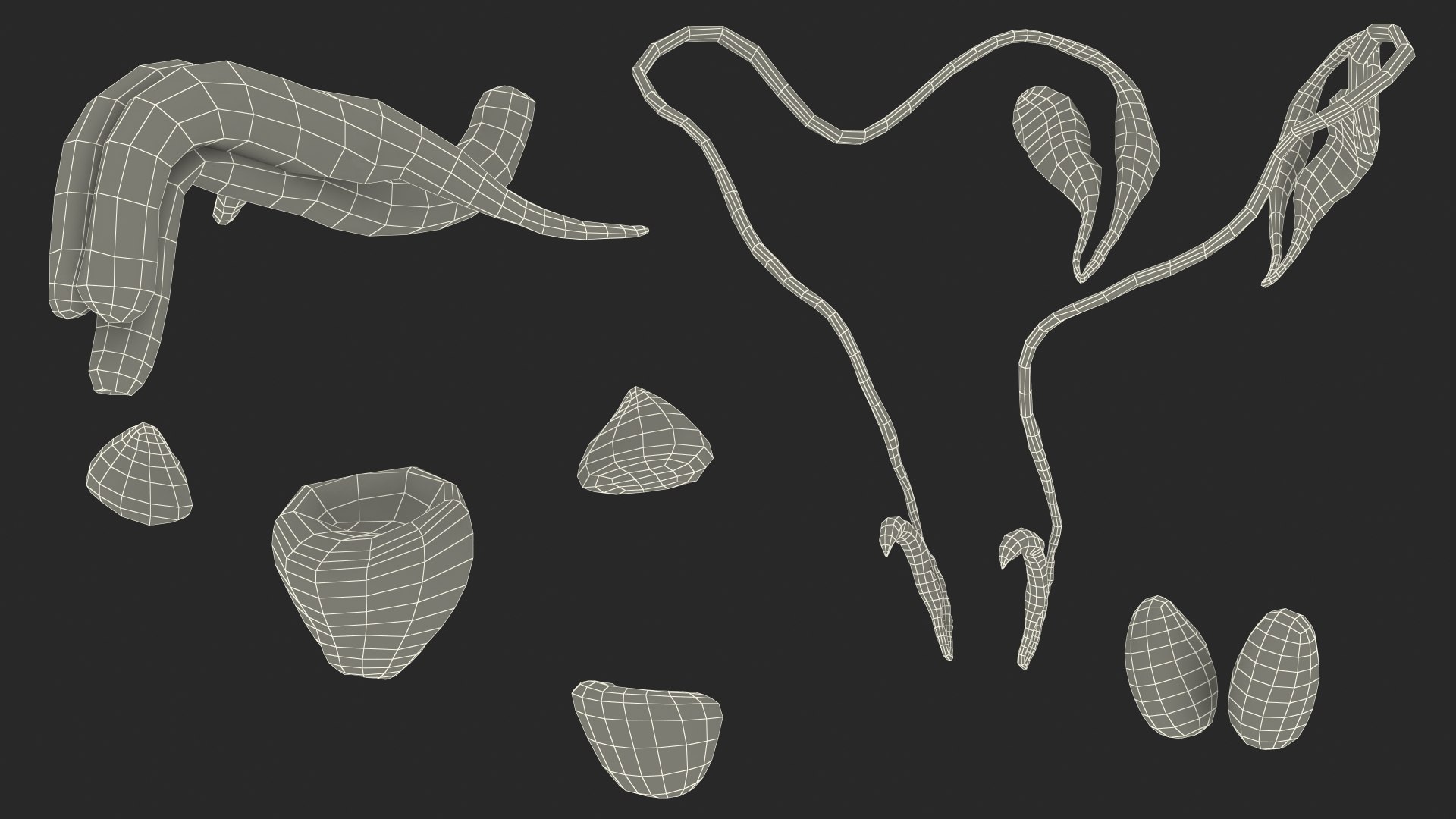 Male Reproductive System 3D model - TurboSquid 1830008