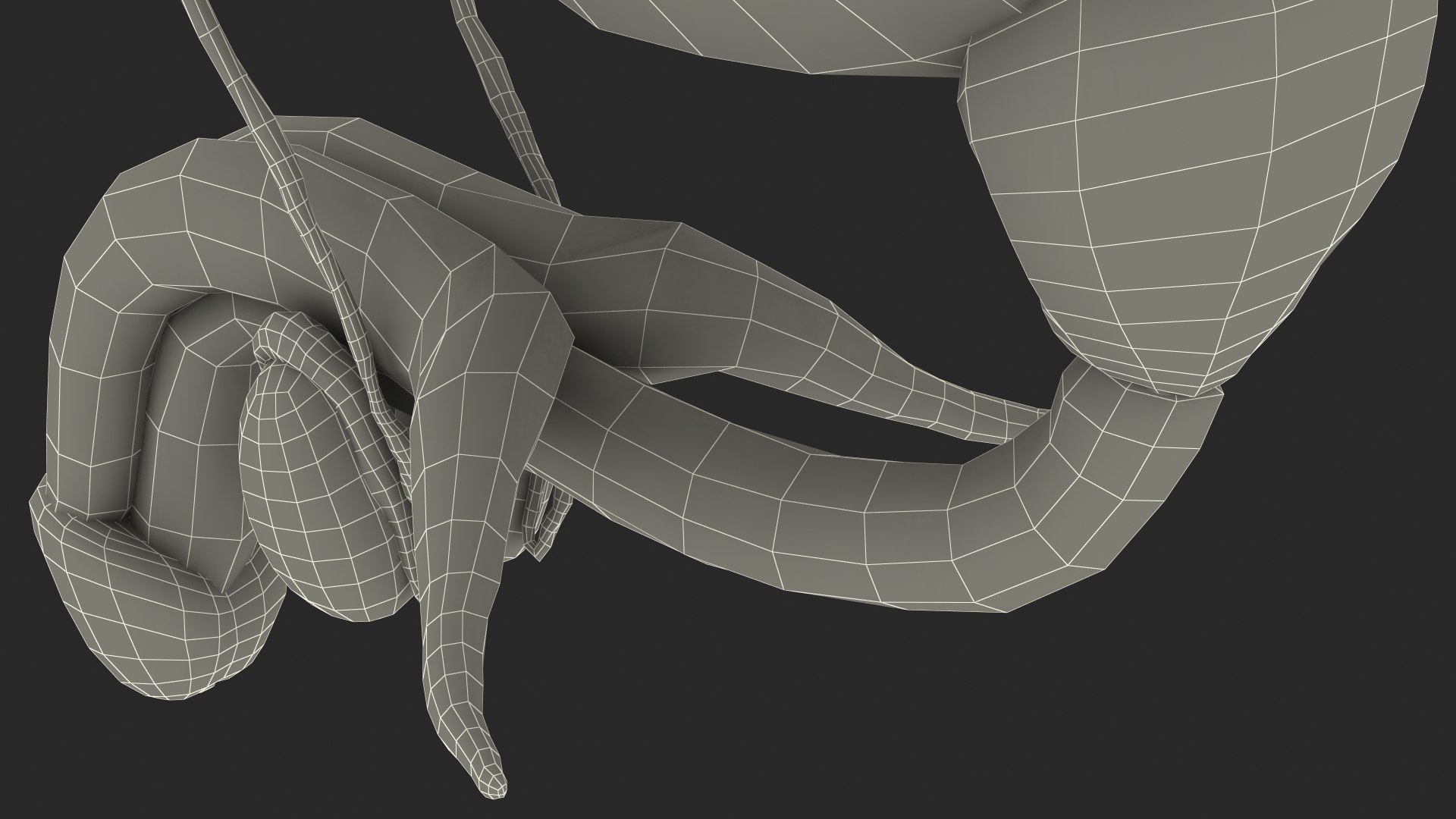 Male Reproductive System 3D model - TurboSquid 1830008