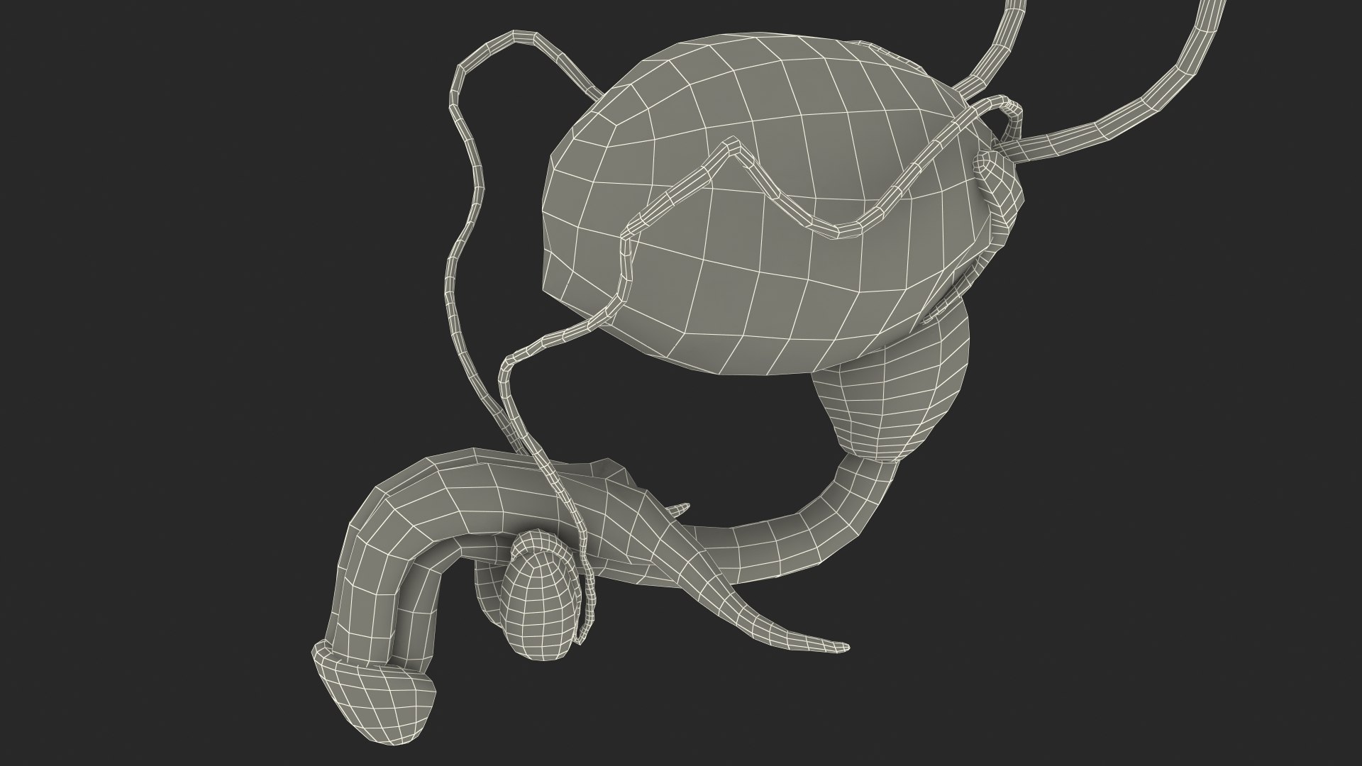 Male Reproductive System 3D model - TurboSquid 1830008