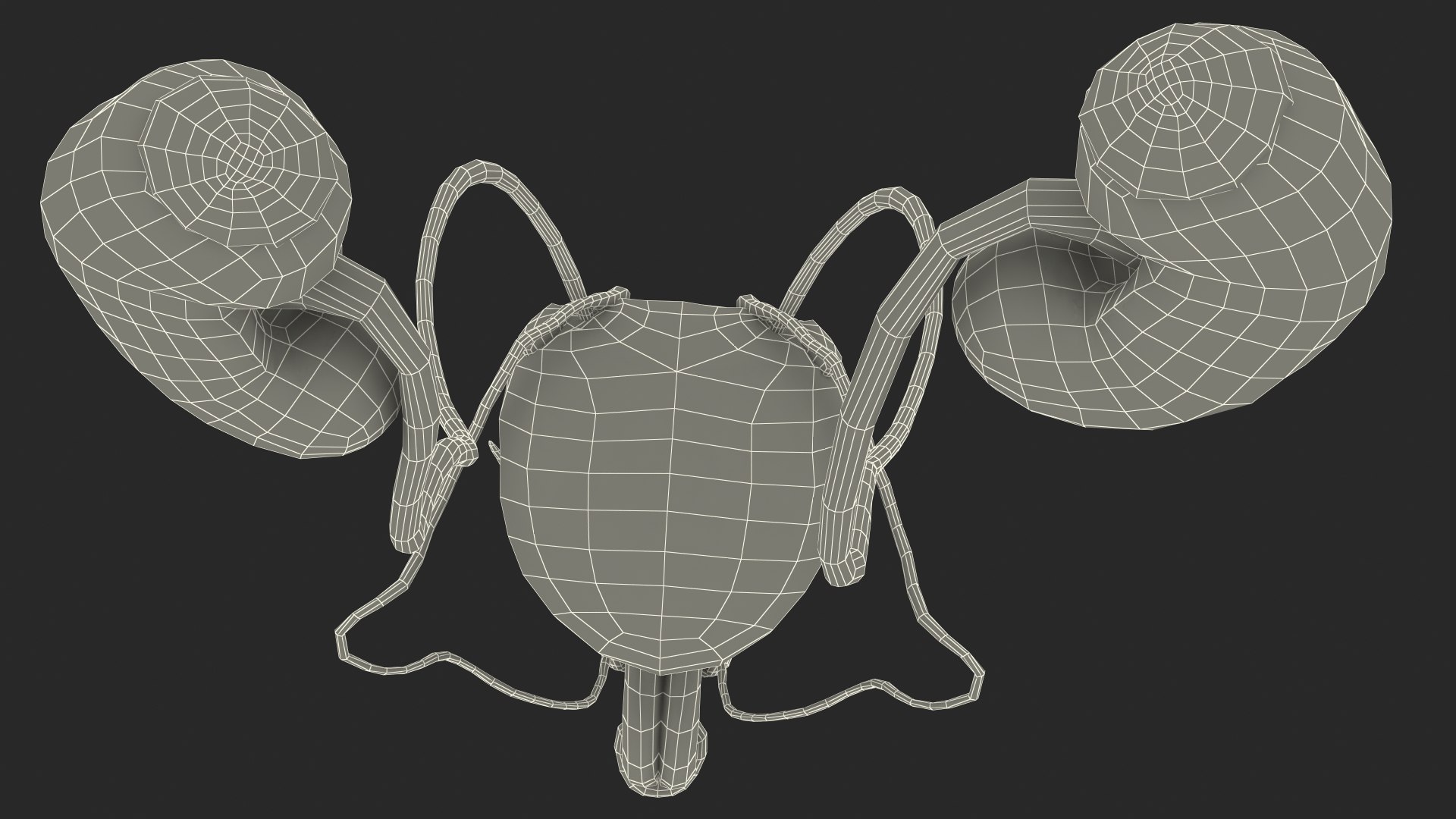 Male Reproductive System 3D model - TurboSquid 1830008