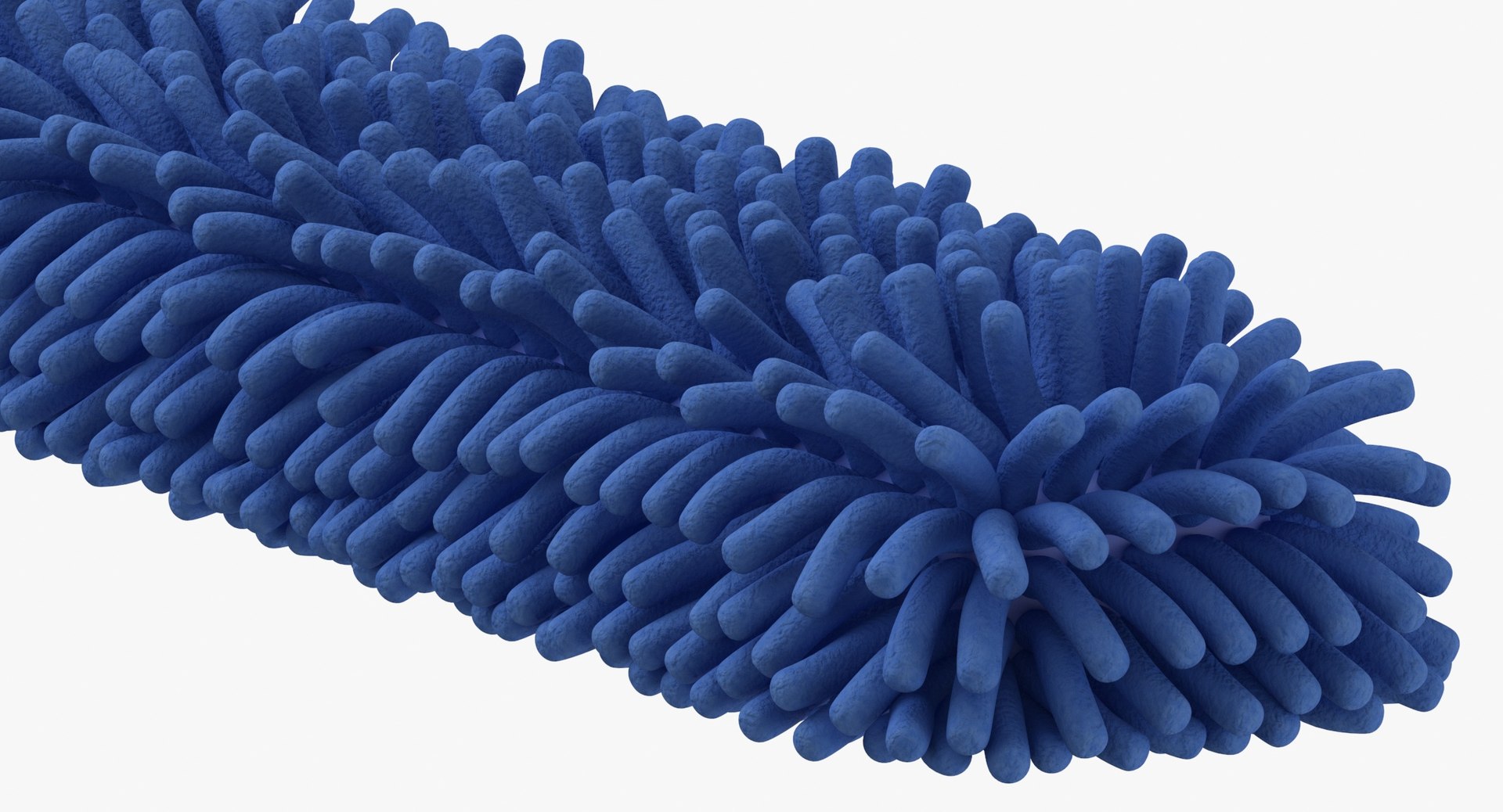 Duster Color 02 Clean Model - TurboSquid 2071170