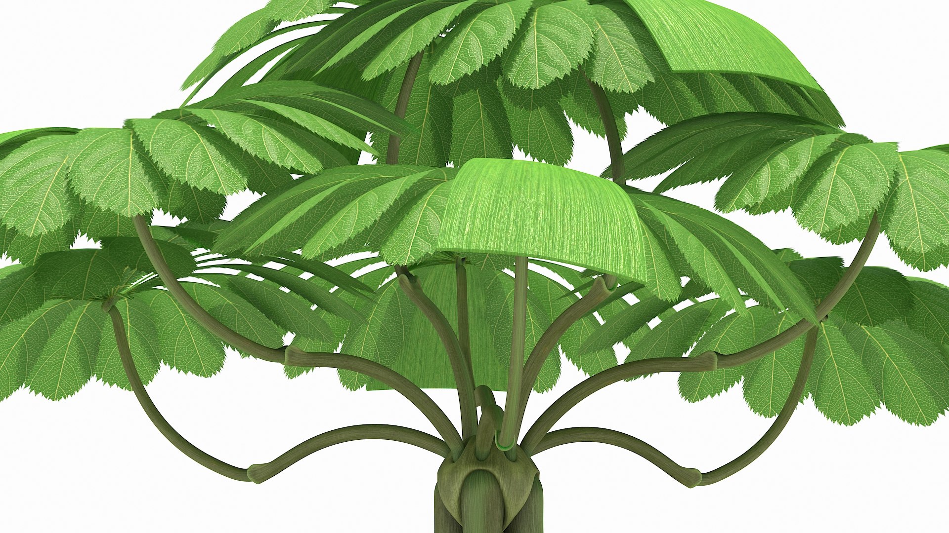 3D Transformer Tree model - TurboSquid 1830211