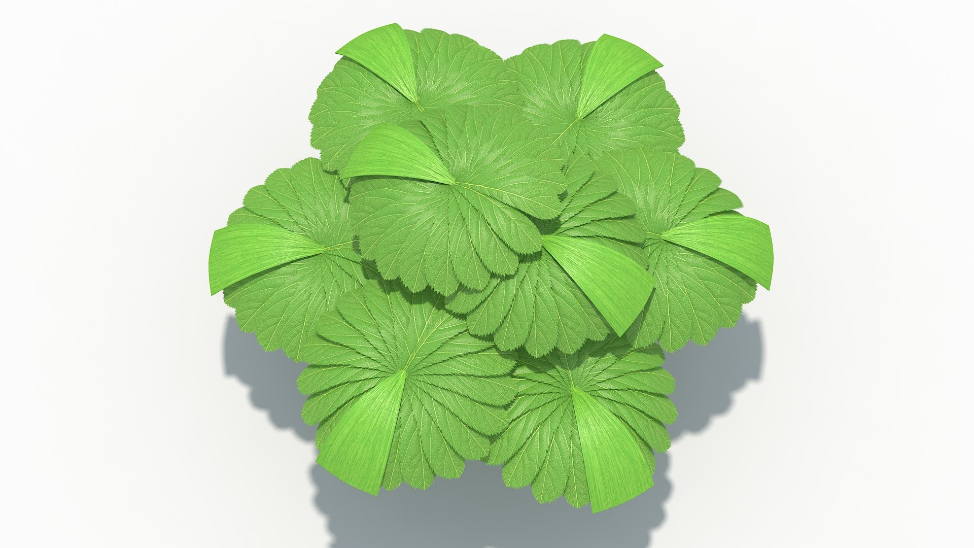 3D Transformer Tree model - TurboSquid 1830211