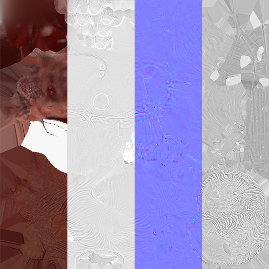 Human Heart Cross Model - TurboSquid 1537346