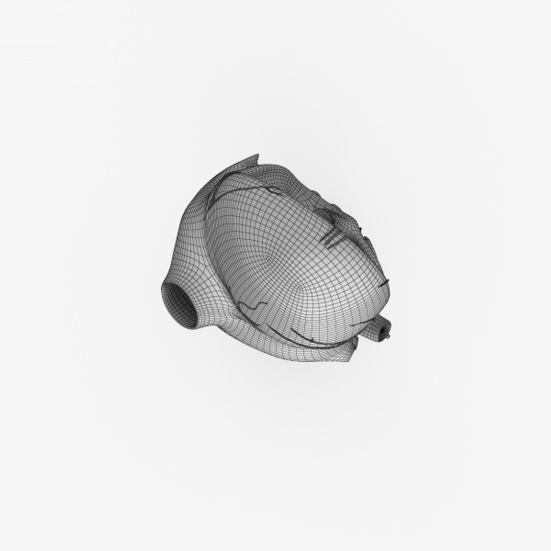 Human Heart Cross Model - TurboSquid 1537346