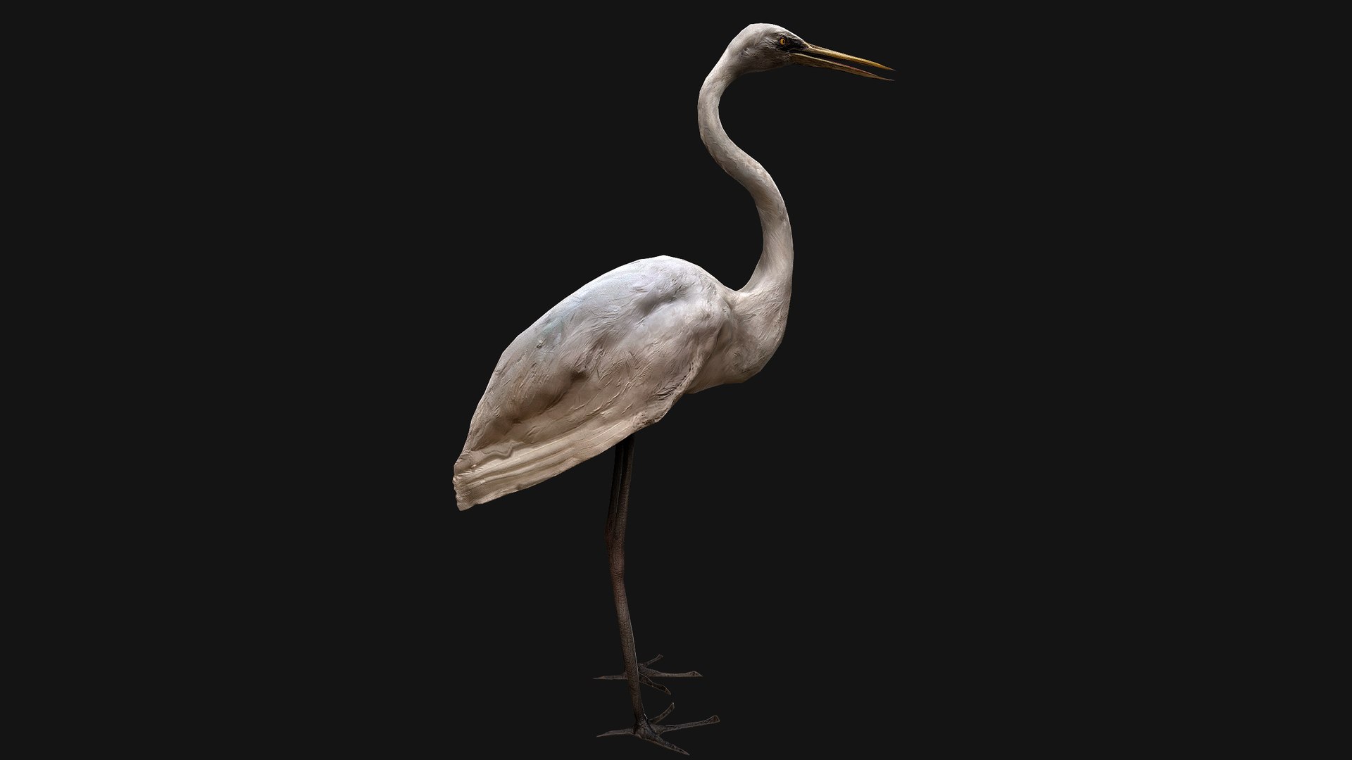 Heron Bird 3D - TurboSquid 2087402