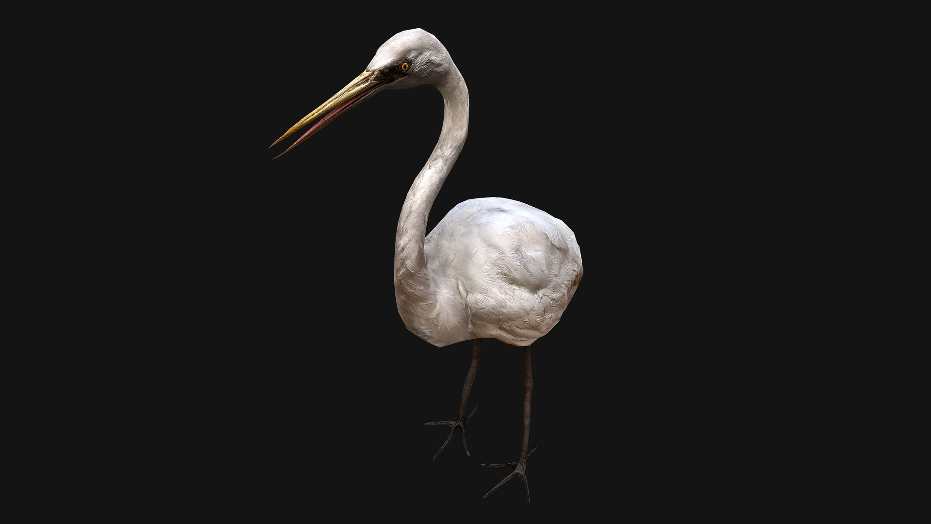 Heron Bird 3D - TurboSquid 2087402