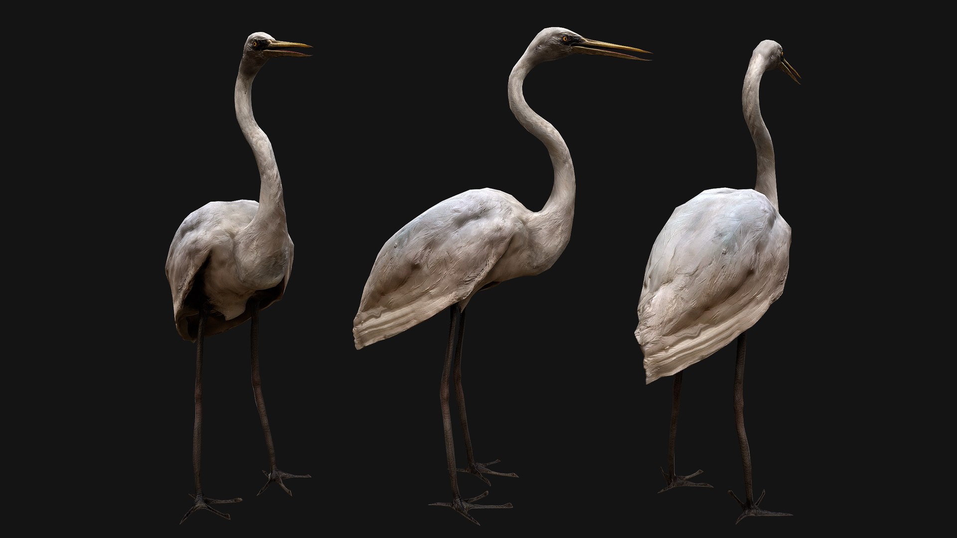 Heron Bird 3D - TurboSquid 2087402