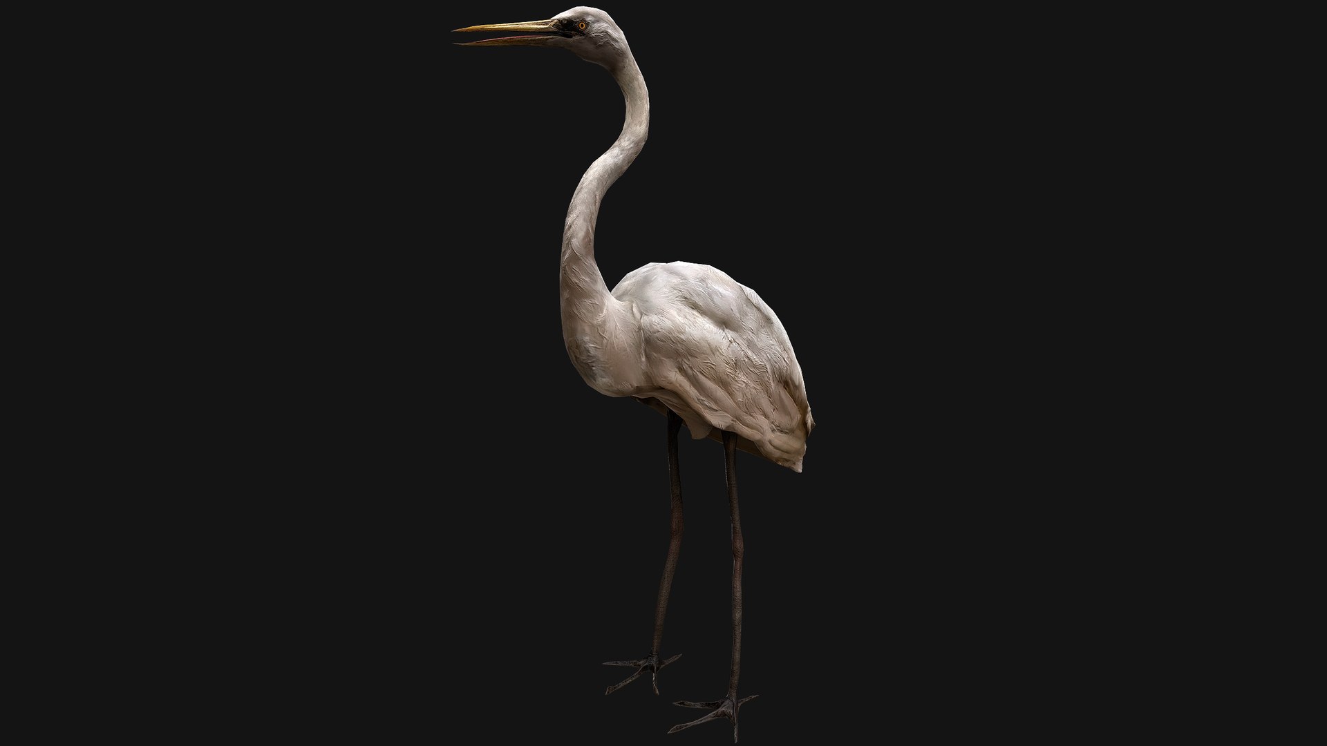 Heron Bird 3D - TurboSquid 2087402