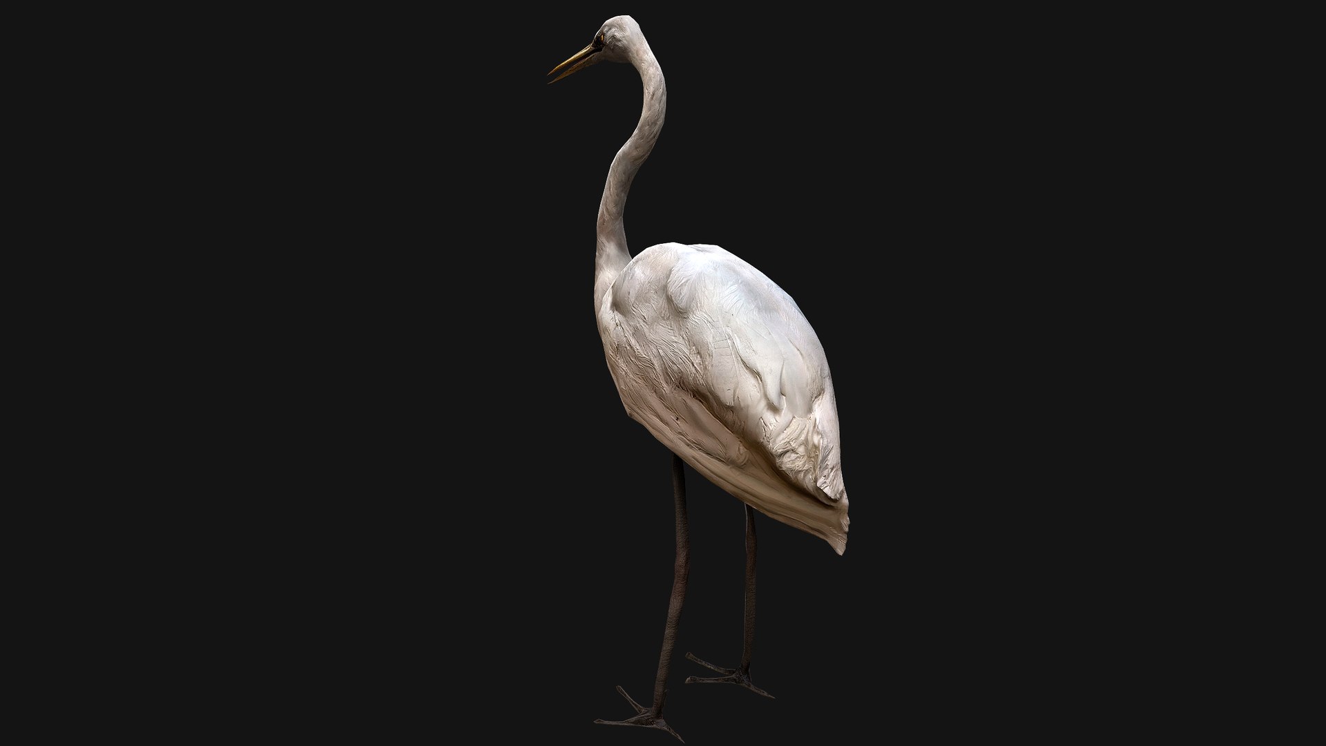 Heron Bird 3D - TurboSquid 2087402