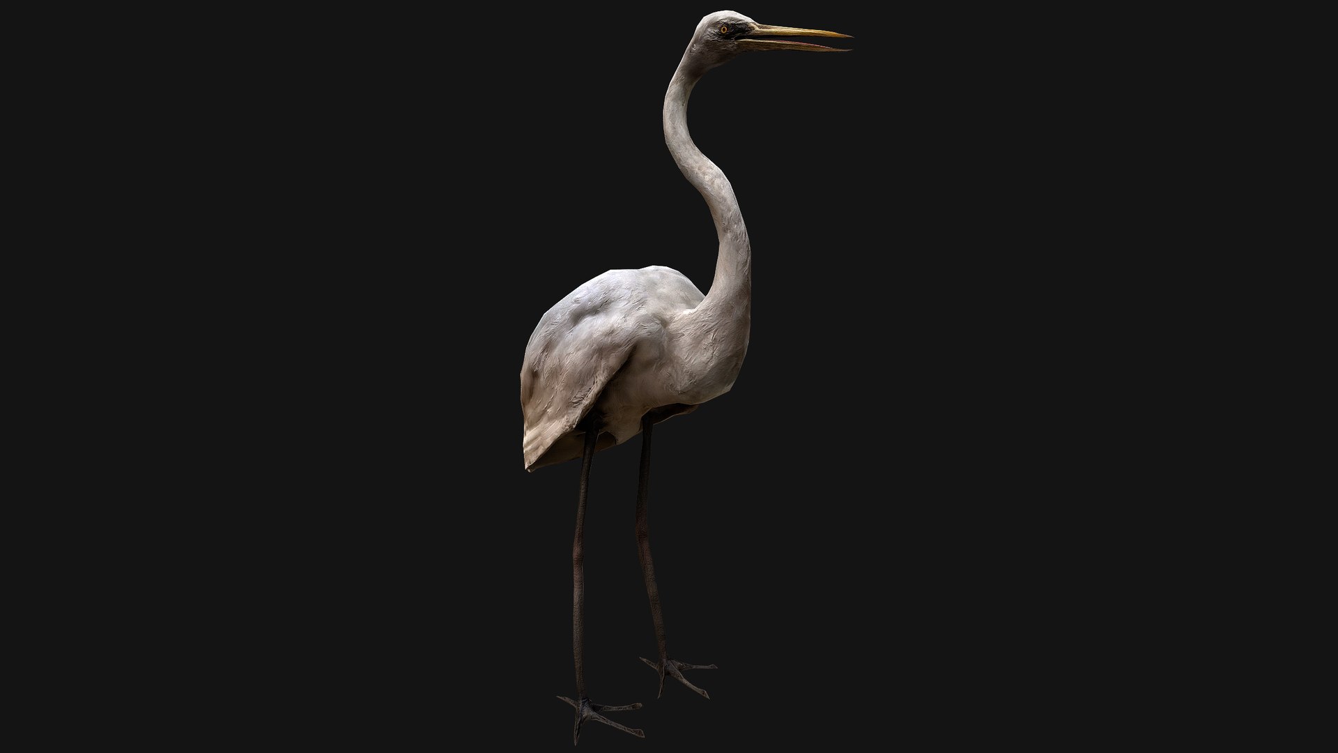 Heron Bird 3D - TurboSquid 2087402