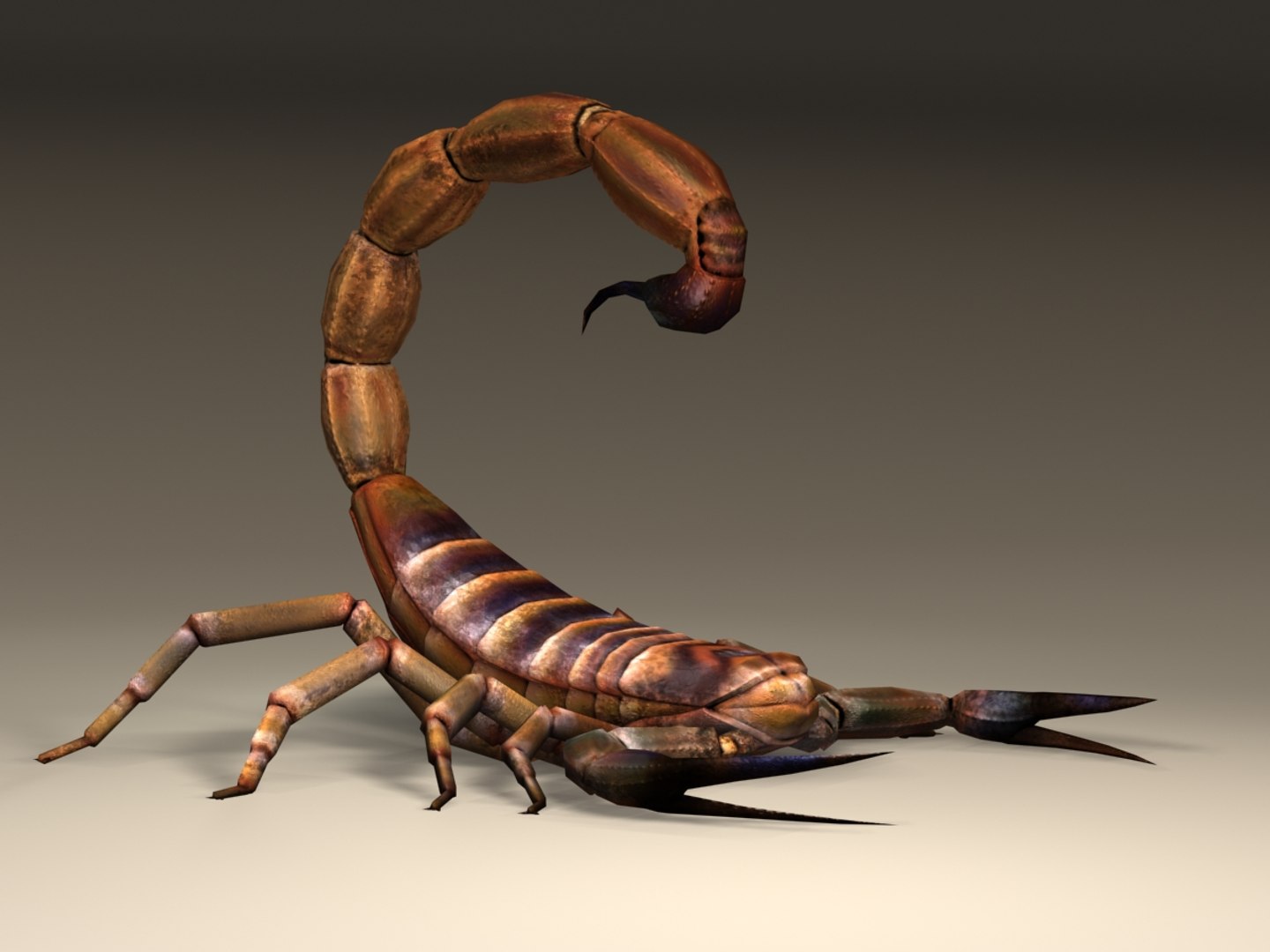 Animal Bug Insect 3D Model - TurboSquid 1480581