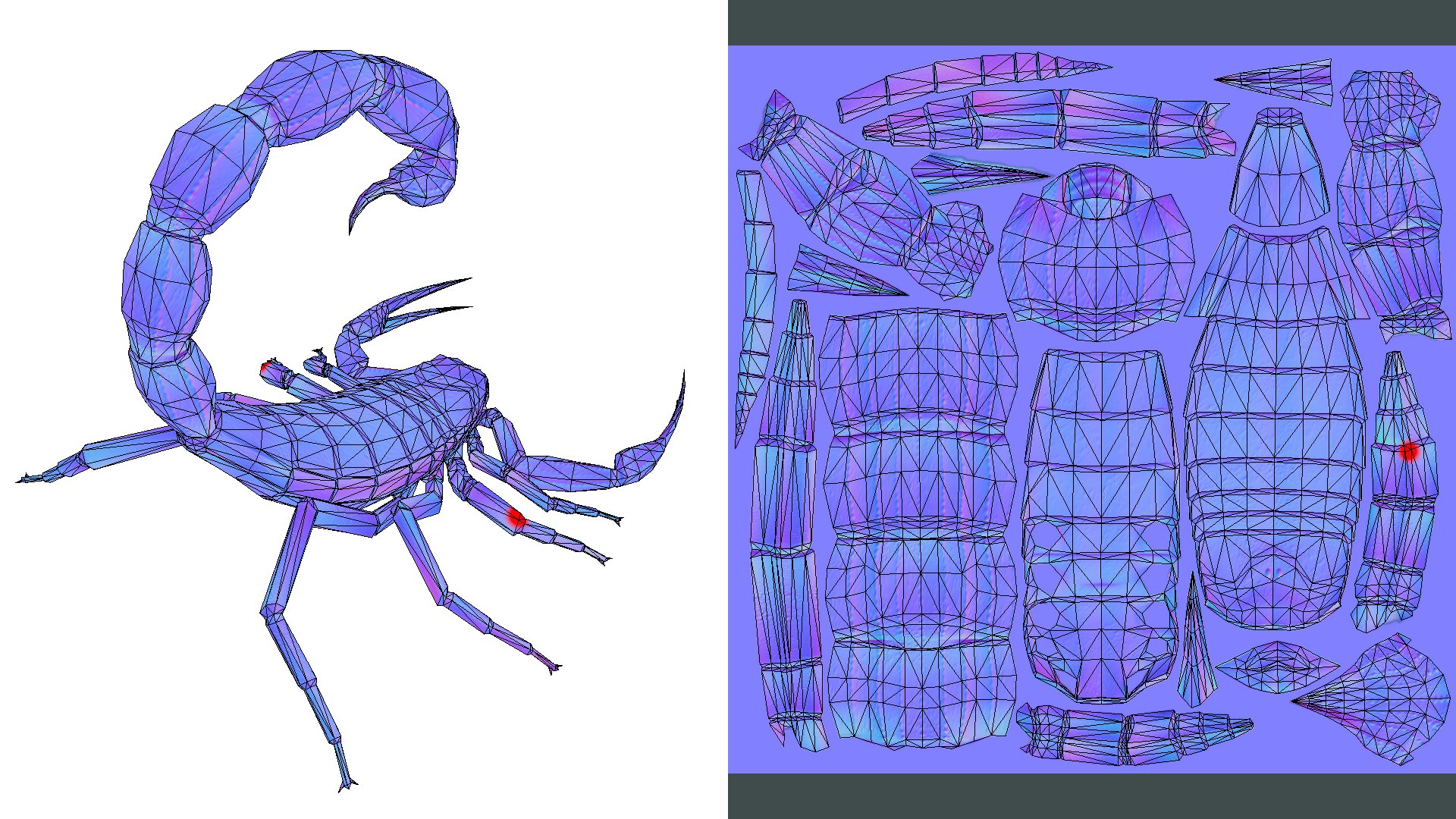 Animal Bug Insect 3D Model - TurboSquid 1480581