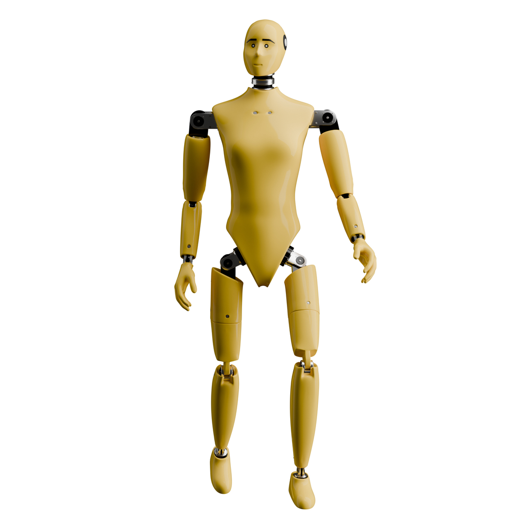 Rigged Crash Test Female Mannequin 3D - TurboSquid 2197951