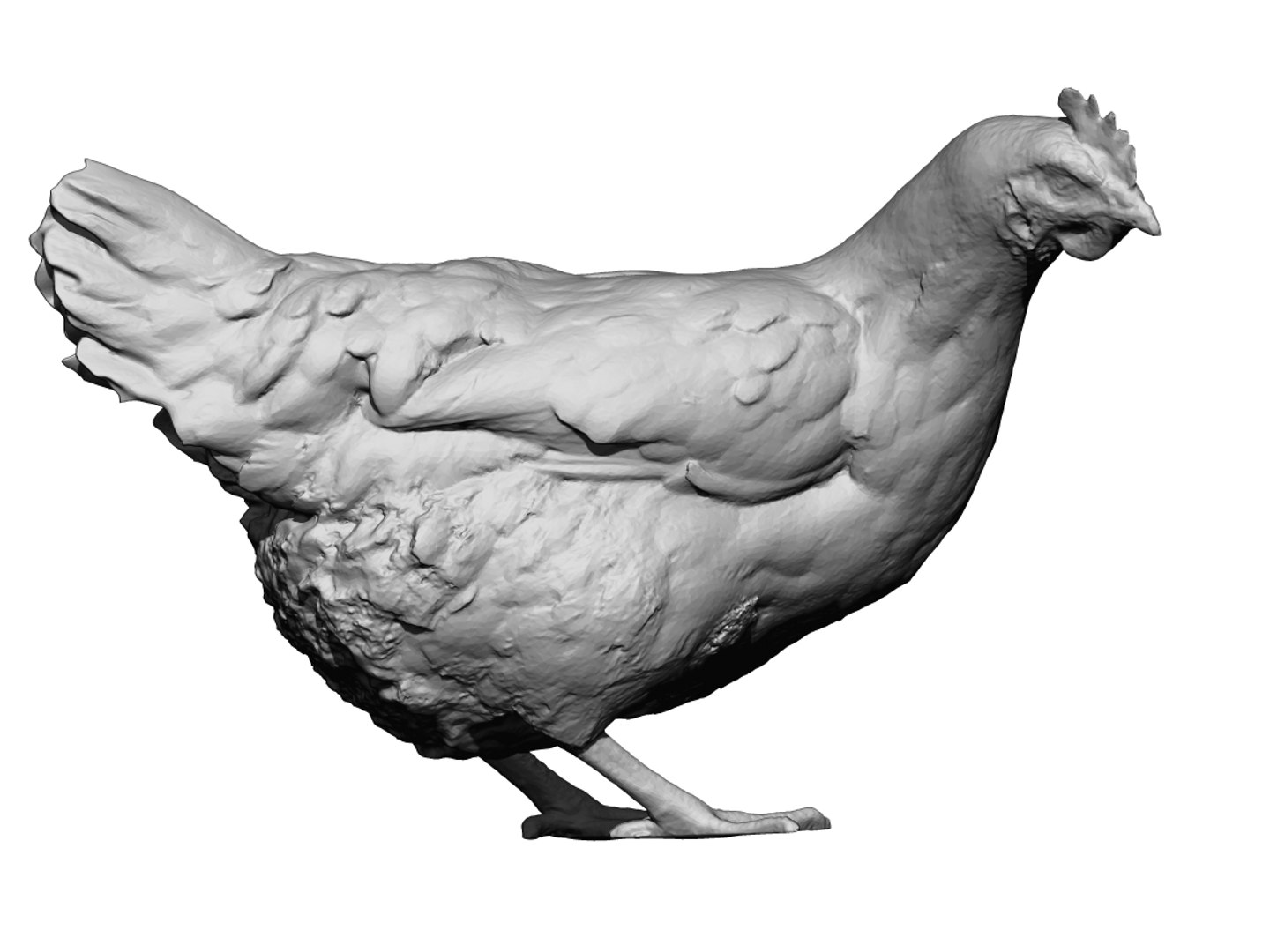 3D Real Chicken Scanned - - TurboSquid 1385923
