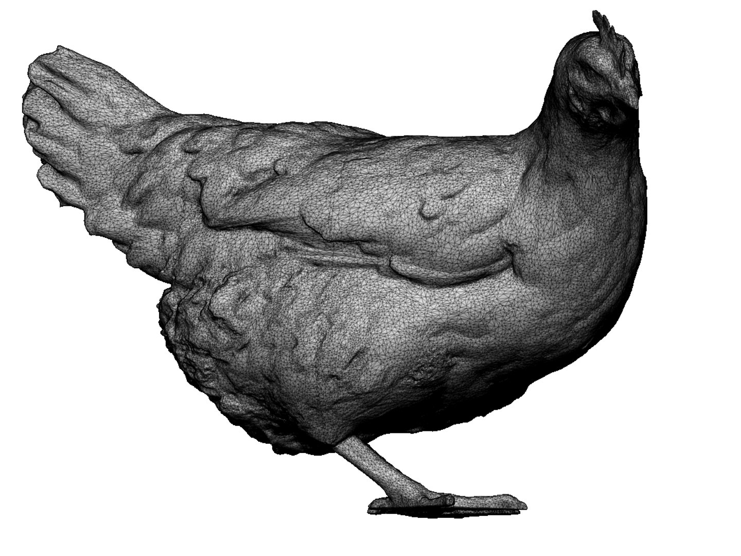 3D Real Chicken Scanned - - TurboSquid 1385923