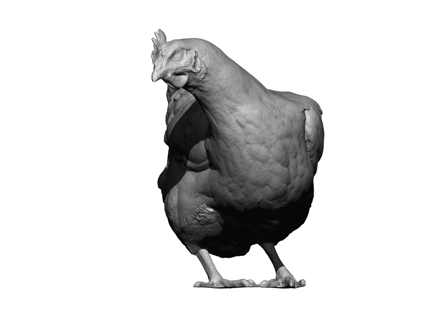 3D Real Chicken Scanned - - TurboSquid 1385923