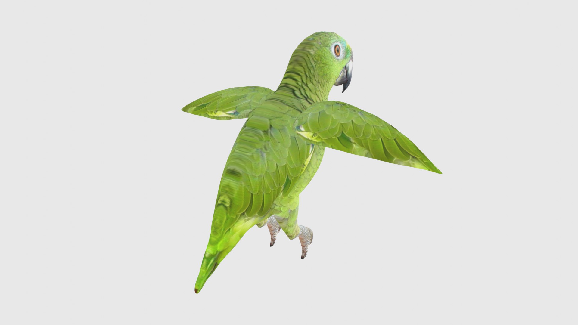 3D Low Poly Parrot Rigged With Realistic Texture - TurboSquid 1875983