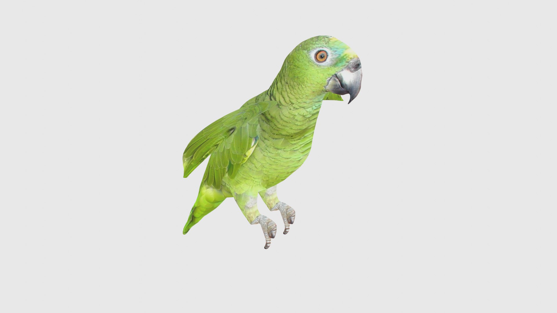 3D Low Poly Parrot Rigged With Realistic Texture - TurboSquid 1875983