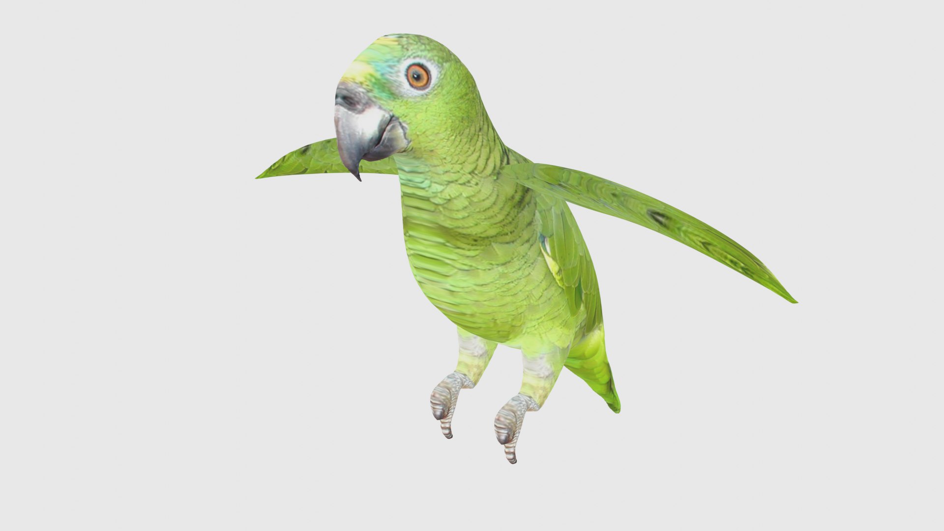 3D Low Poly Parrot Rigged With Realistic Texture - TurboSquid 1875983