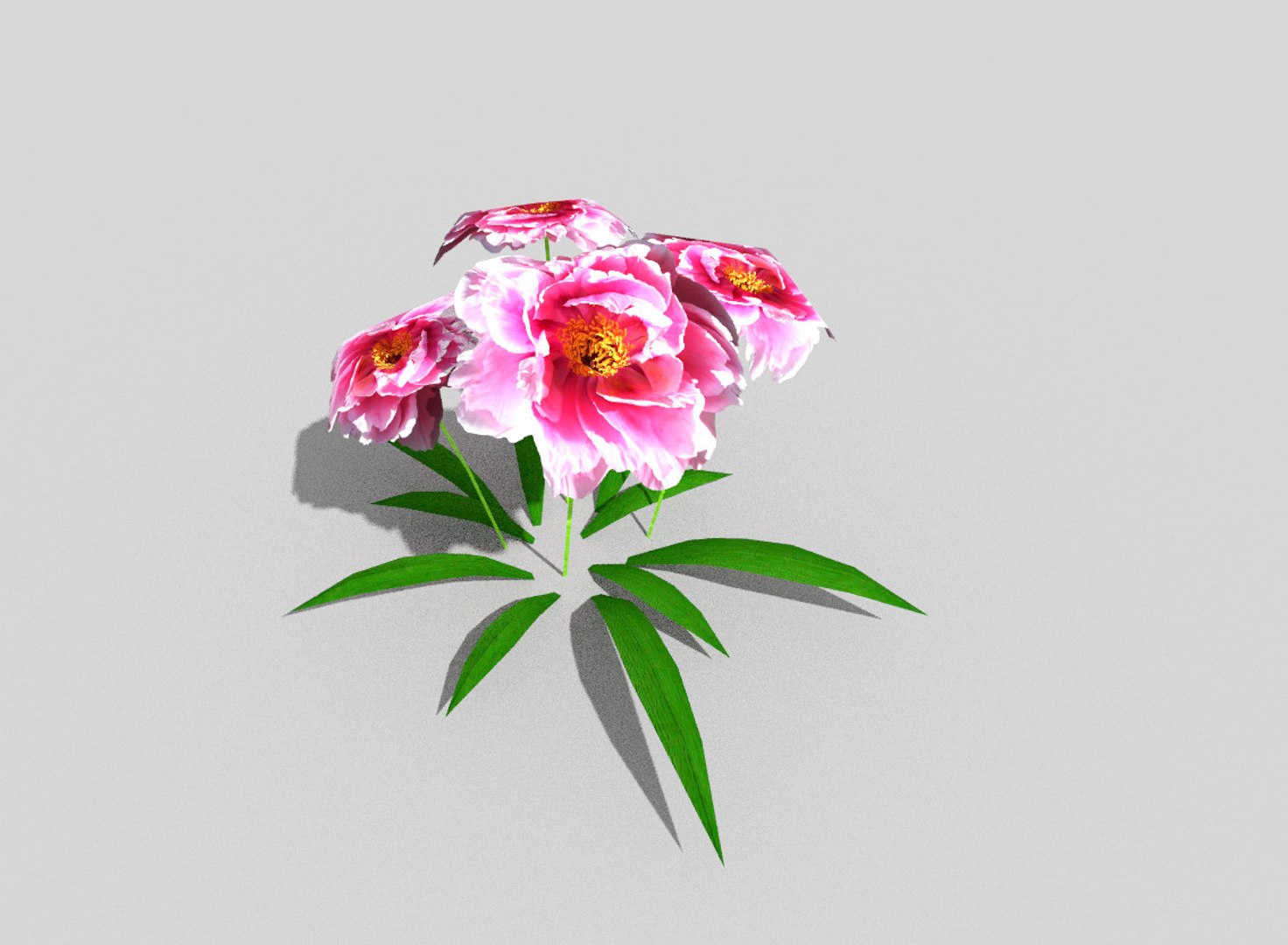 Flower 3D - TurboSquid 1152510