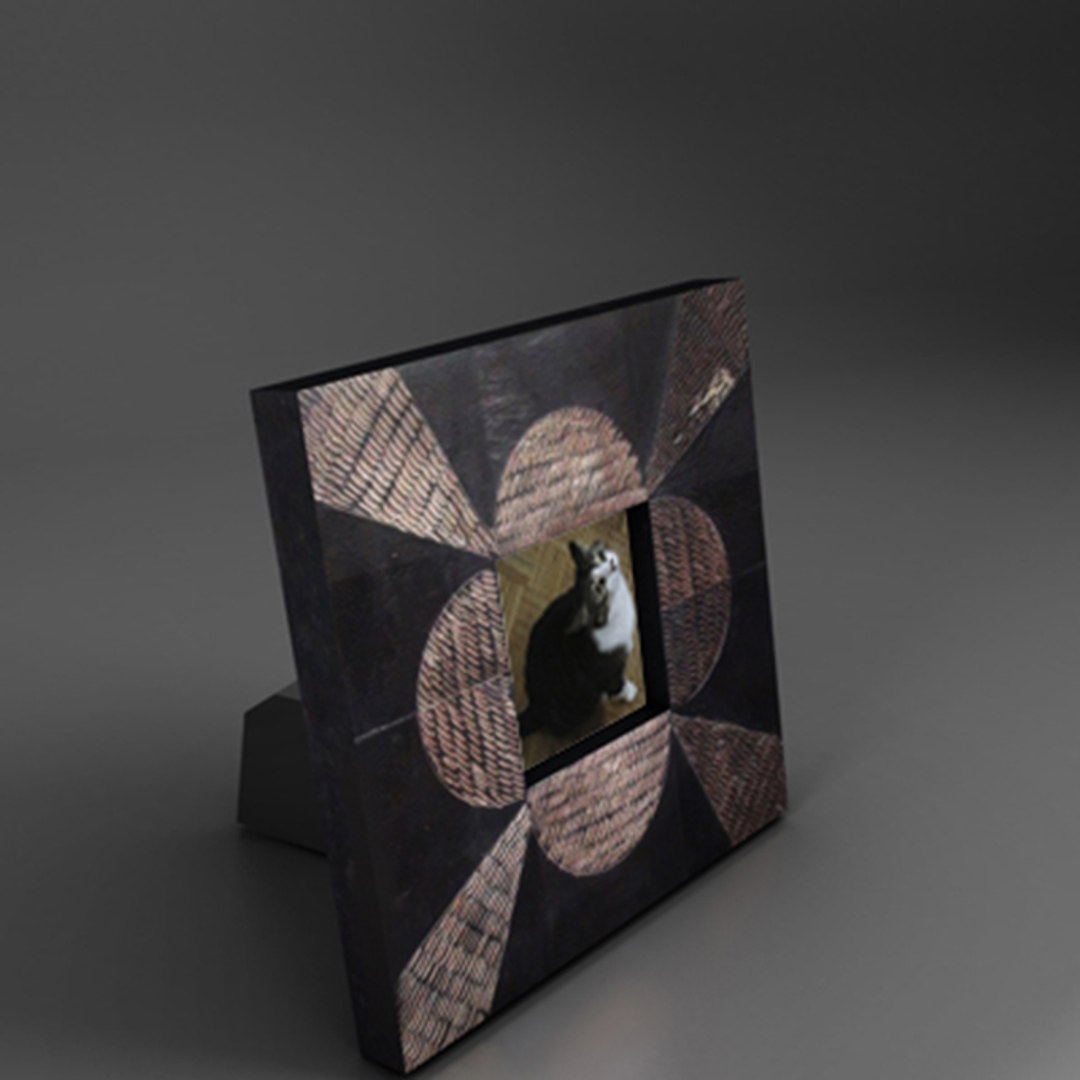 3dsmax Photo : Frame