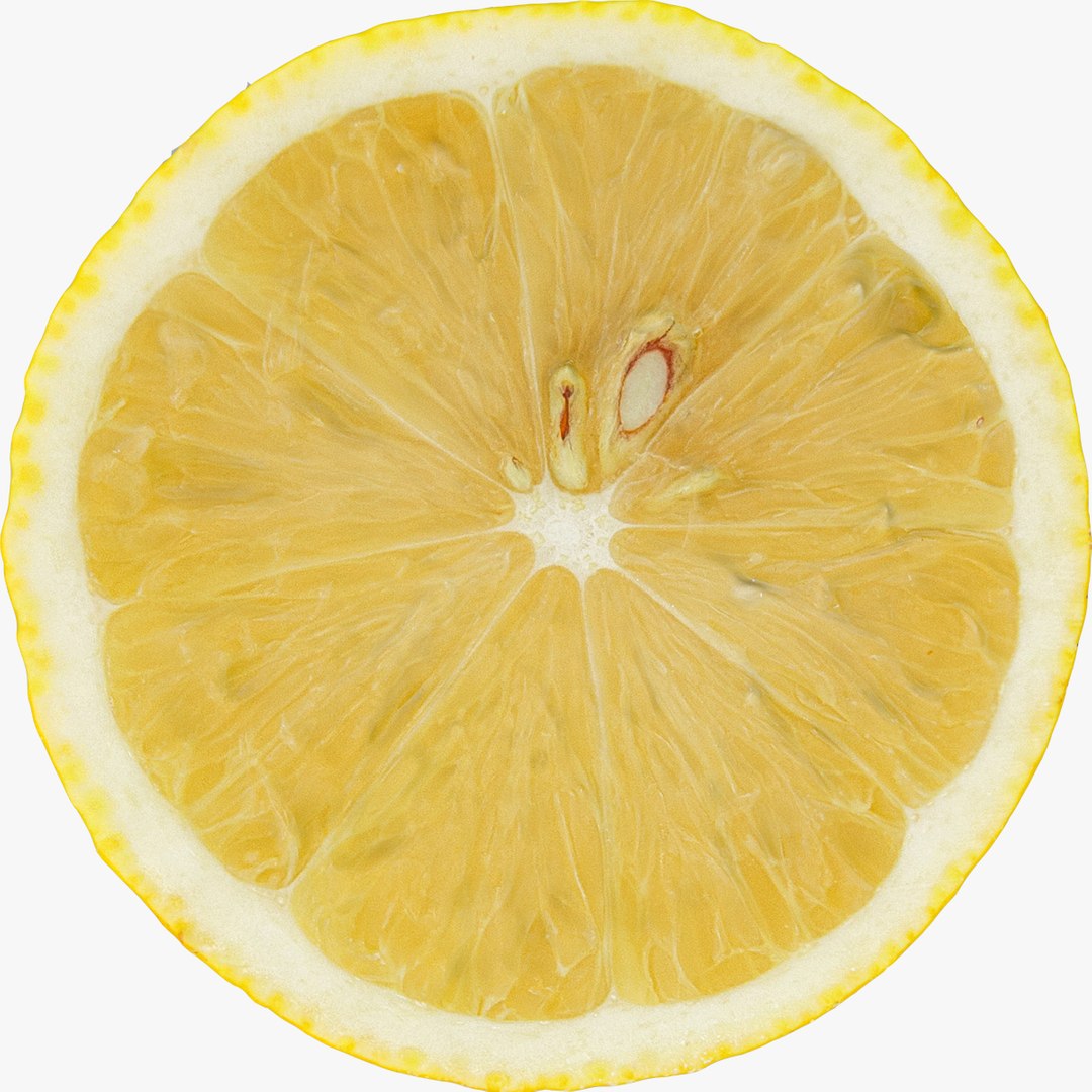 Lemon and half a lemon model - TurboSquid 2010140