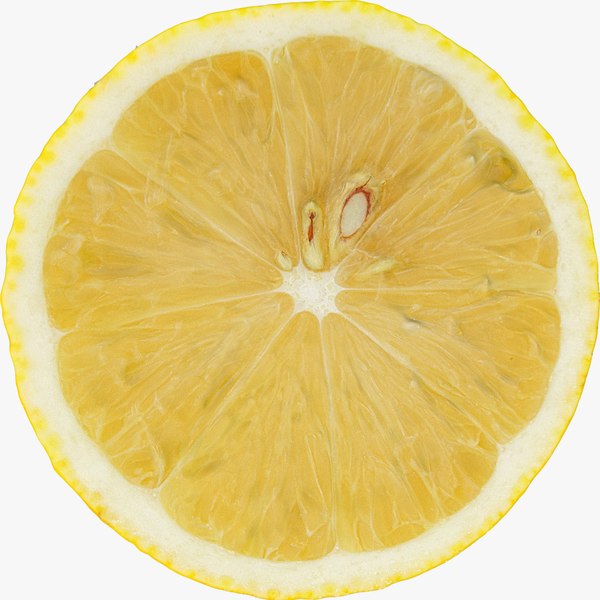 modelo 3d Lemon and half a lemon - TurboSquid 2010140