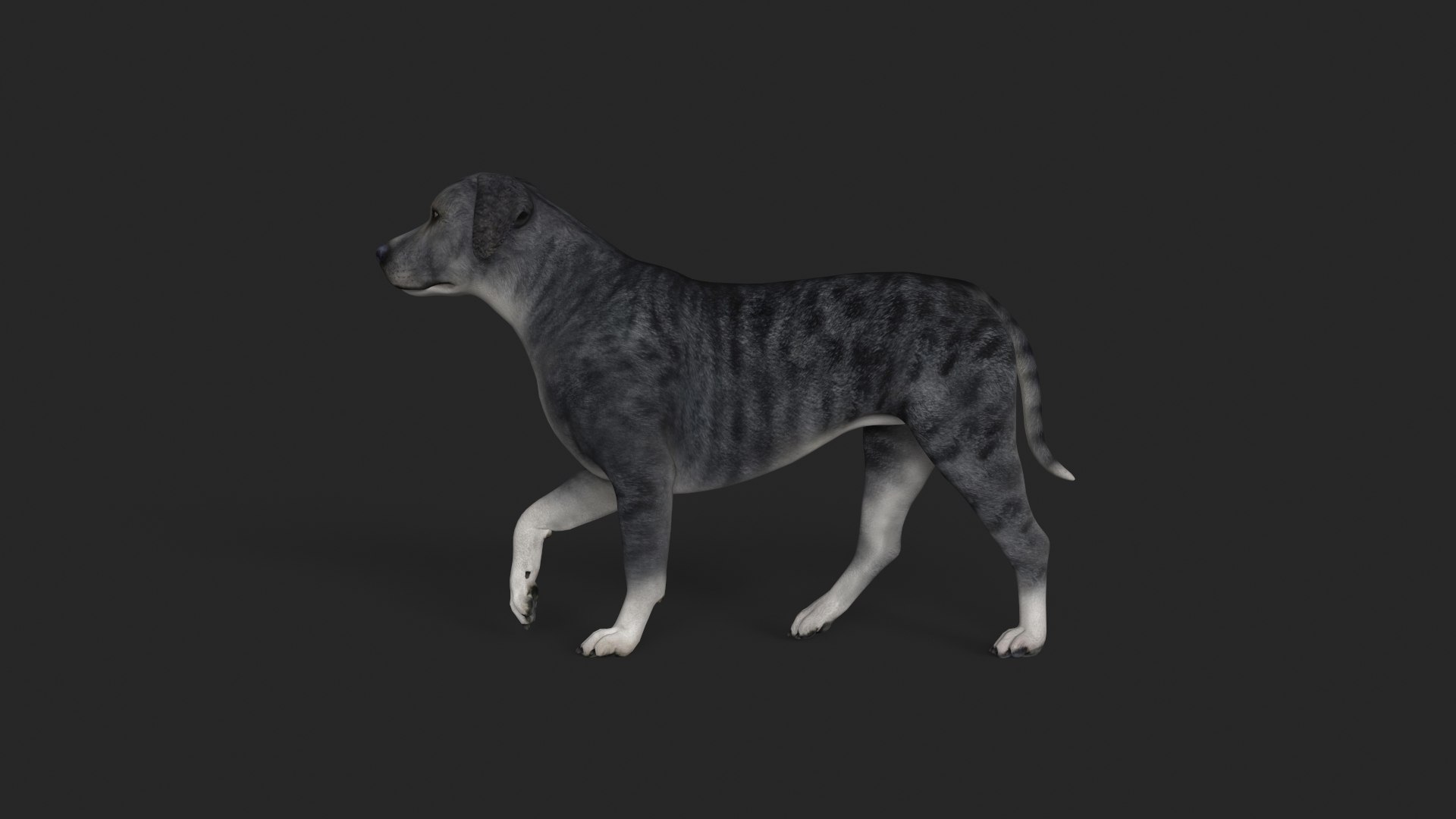 3D LAB-017 Dog Walking Model - TurboSquid 1914211