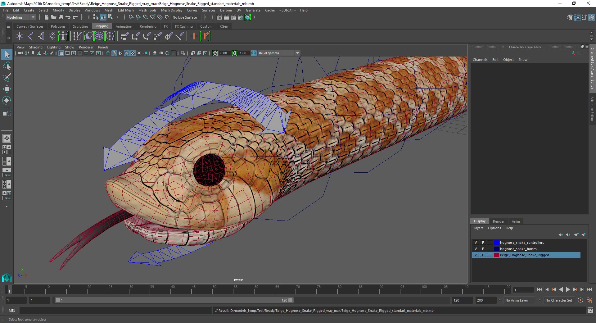 Beige Hognose Snake Rigged 3D Model - TurboSquid 1502337