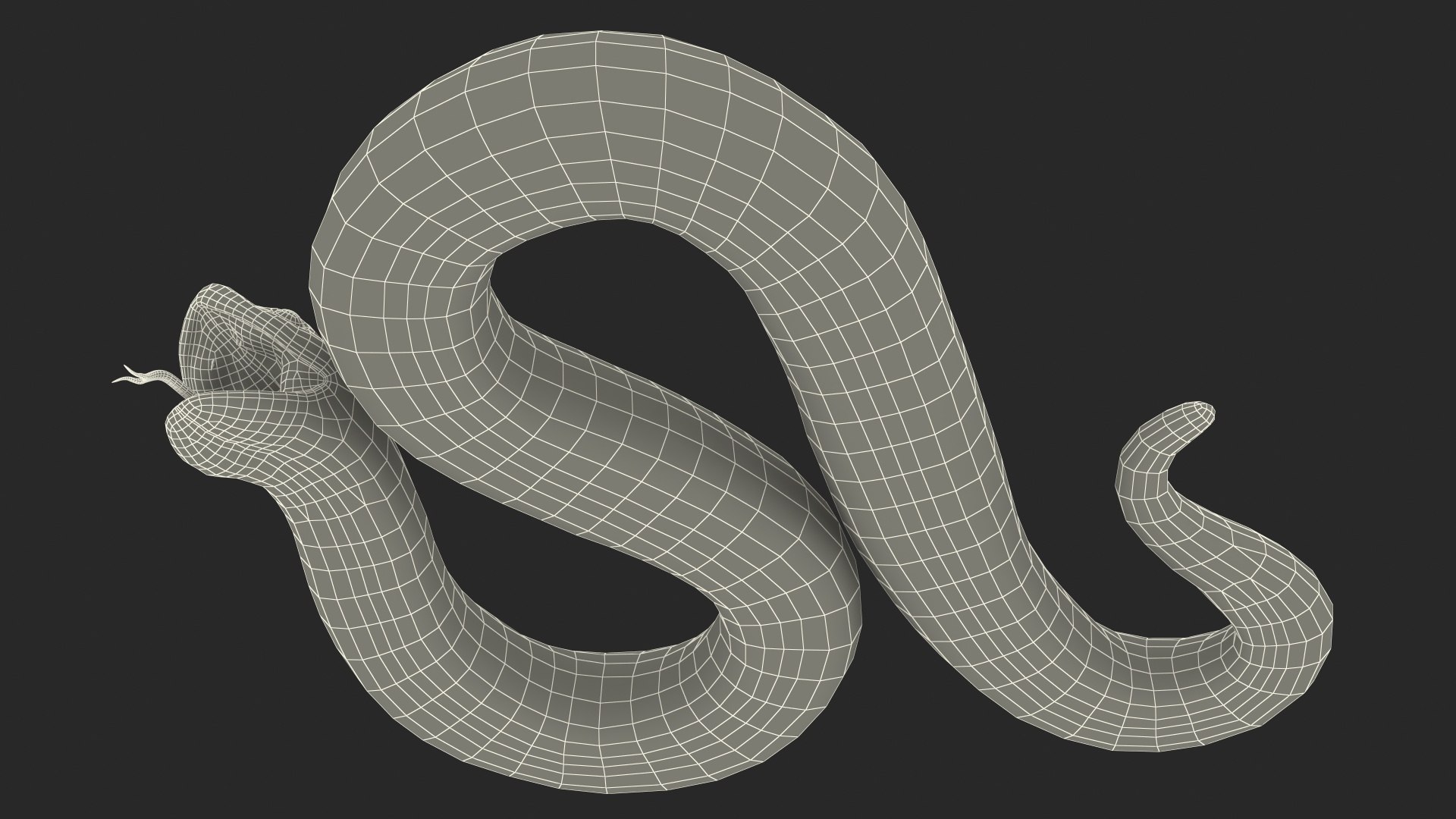 Beige Hognose Snake Rigged 3D Model - TurboSquid 1502337